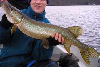 The Fish – Keswick Anglers Association (KAA)